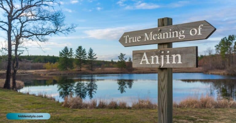 The True Meaning of Anjin: What It Means and Why It Matters - Hidden Stylo