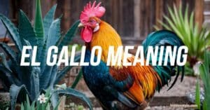 El Gallo Meaning: A Cultural Icon with Rich Meaning and Significance in ...