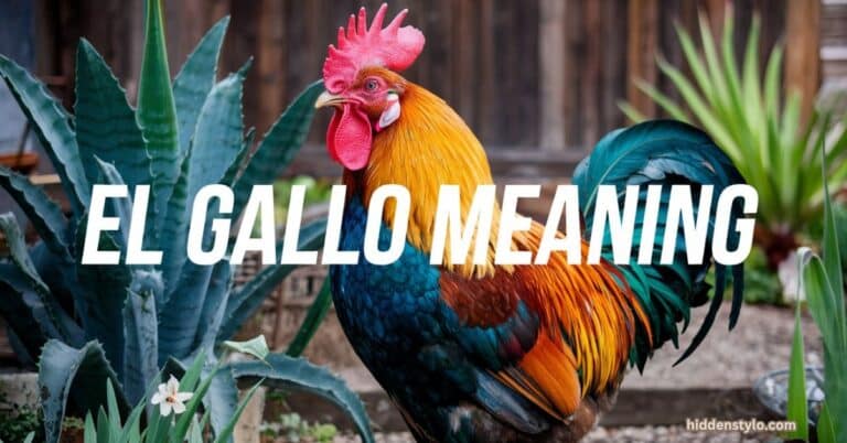 El Gallo Meaning: A Cultural Icon with Rich Meaning and Significance in ...
